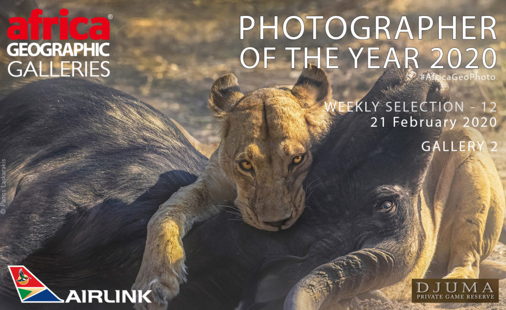 Photographer of the Year 2020 Weekly Selection: Week 12 – Gallery 2 ...