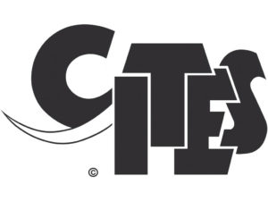 What exactly is CITES and how does it work? - Africa Geographic