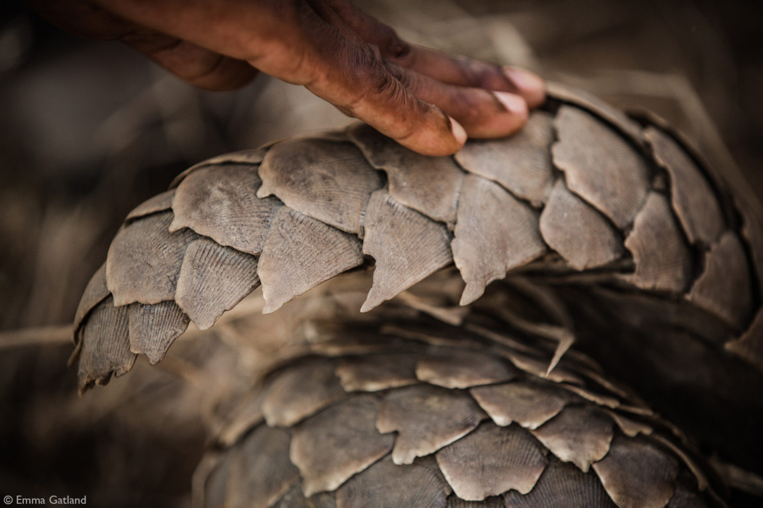 Photographer of the Year 2020 Weekly Selection: Week 22 – Gallery 3 ...