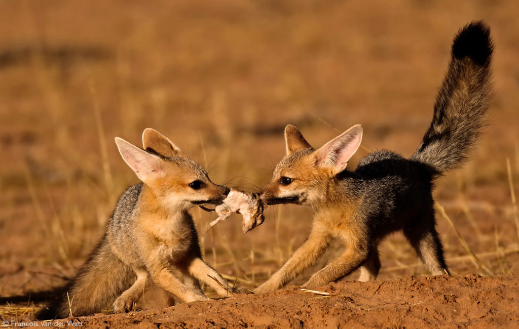 Photographer of the Year 2020 Weekly Selection: Week 22 – Gallery 2 ...