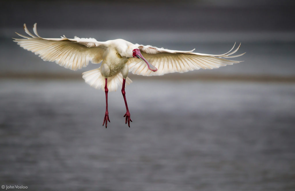 Photographer of the Year 2020 Weekly Selection: Week 22 – Gallery 3 ...