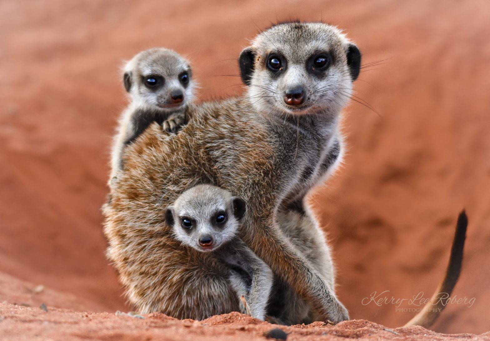 Photographer of the Year 2020 Weekly Selection: Week 22 – Gallery 4 ...