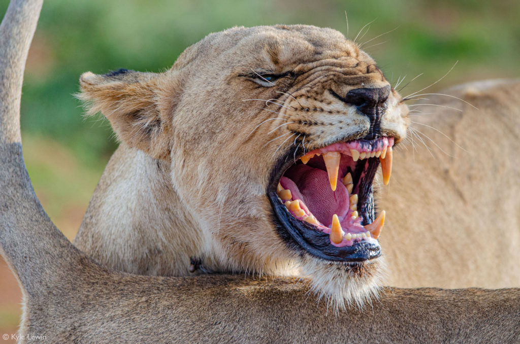 Photographer of the Year 2020 Weekly Selection: Week 22 – Gallery 3 ...