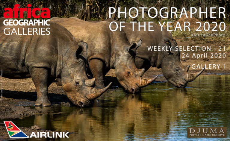 Photographer of the Year 2020 Weekly Selection: Week 21 – Gallery 1 ...