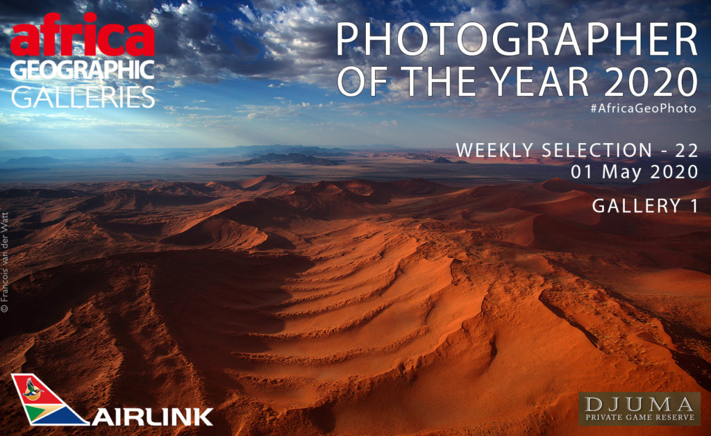 Photographer of the Year 2020 Weekly Selection: Week 22 – Gallery 1 ...