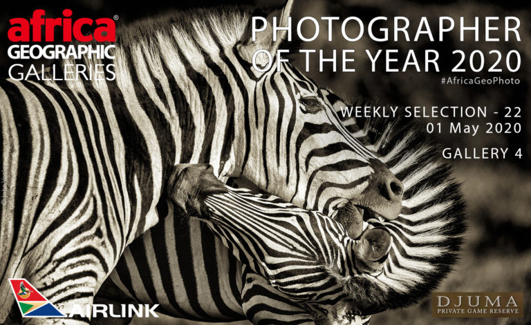 Photographer of the Year 2020 Weekly Selection: Week 22 – Gallery 4 ...