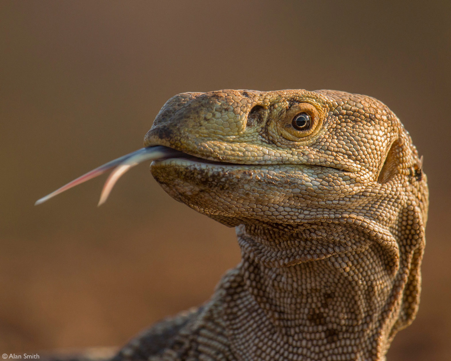 Photographer of the Year 2020 Weekly Selection: Week 23 – Gallery 1 ...