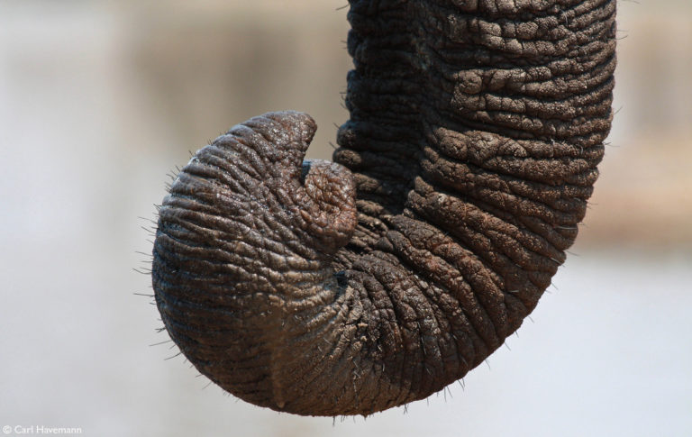 Photographer of the Year 2020 Weekly Selection: Week 23 – Gallery 4 ...