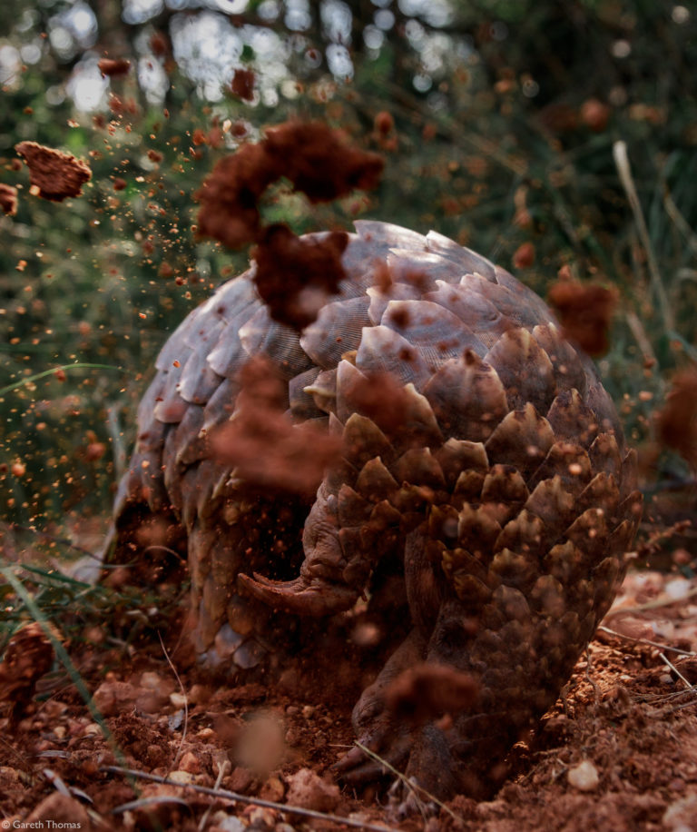 Photographer of the Year 2020 Weekly Selection: Week 23 – Gallery 3 ...