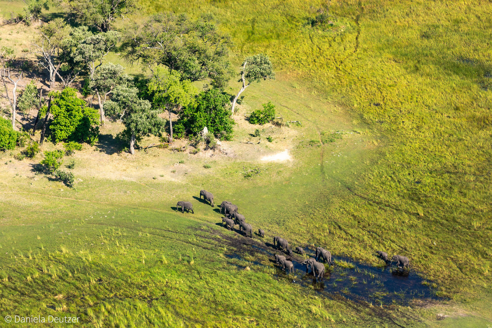Understanding the Okavango Delta - Africa Geographic