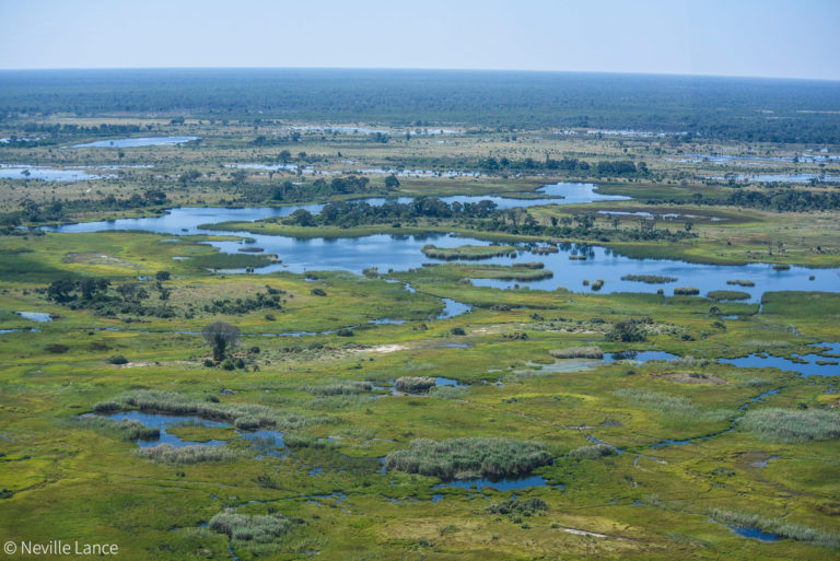 Understanding the Okavango Delta - Africa Geographic