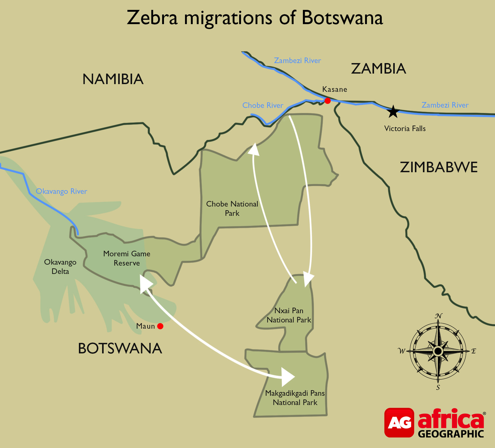 Botswana s Zebra Migrations Africa Geographic Botswana s Zebra Migrations Africa Geographic