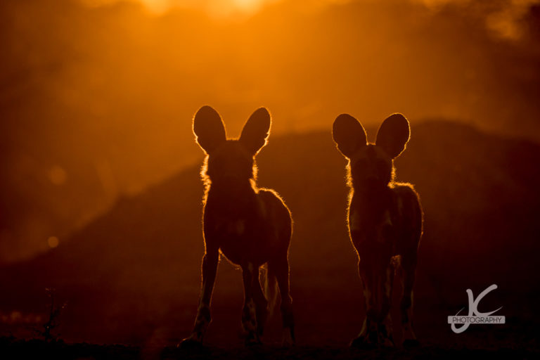 Jens Cullmann, 2020 Photographer of the Year - gallery one - Africa ...