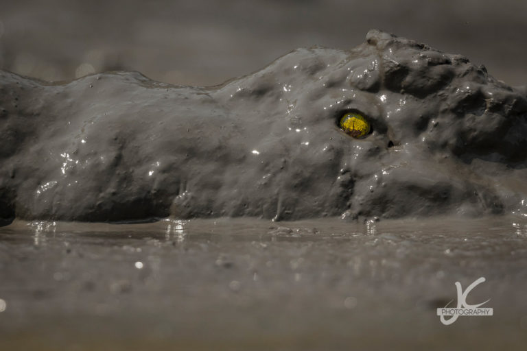 Jens Cullmann, 2020 Photographer of the Year - gallery one - Africa ...