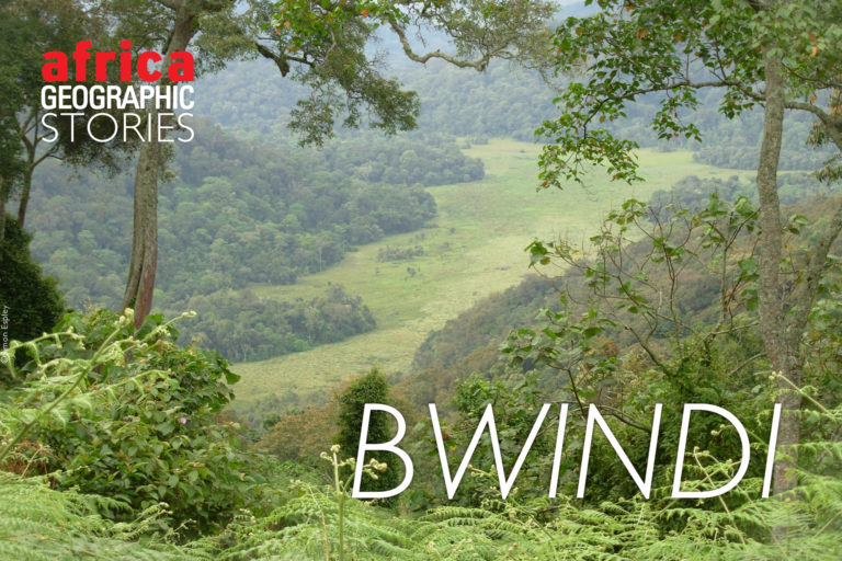 Bwindi - Africa Geographic