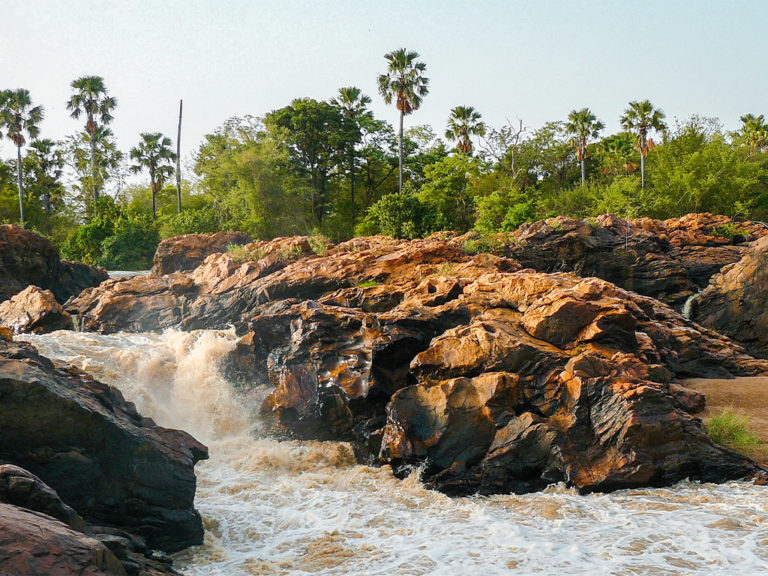 W National Park in Benin now falls under African Parks management ...