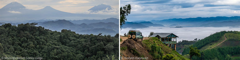 Bwindi - Africa Geographic