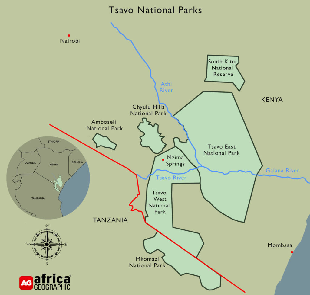 Enjoy a Tsavo safari with us
