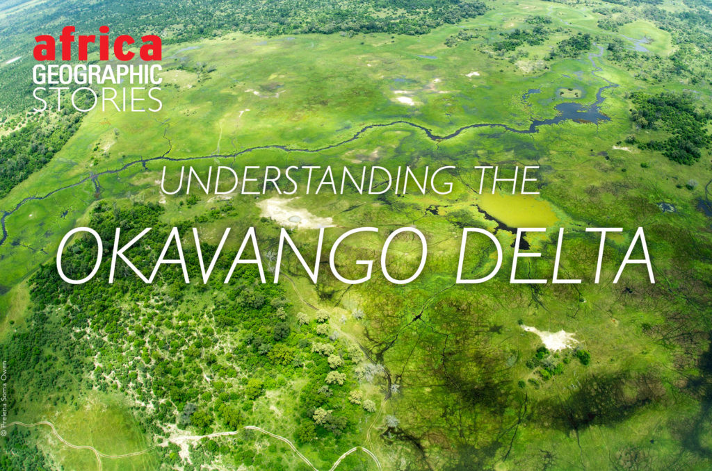 Understanding the Okavango Delta - Africa Geographic