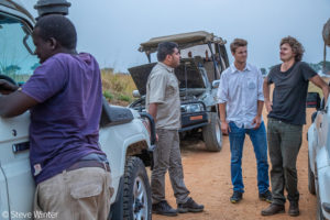 Counting lions: new study shows the importance of good counts for lion ...