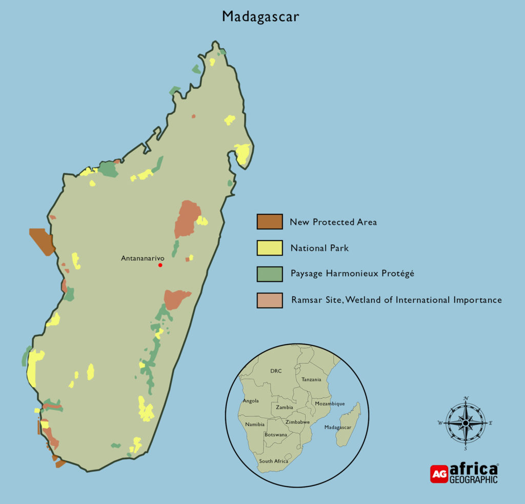 Come find lemurs in Madagascar with us