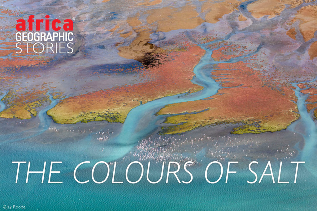 The Colours of Salt - Africa Geographic