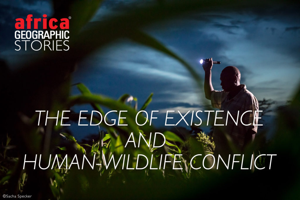 The Edge of Existence and human-wildlife conflict – we interview James ...