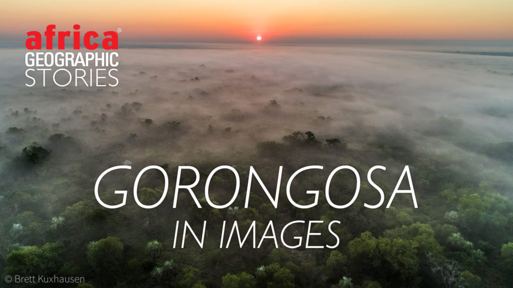 GORONGOSA IN IMAGES - Africa Geographic