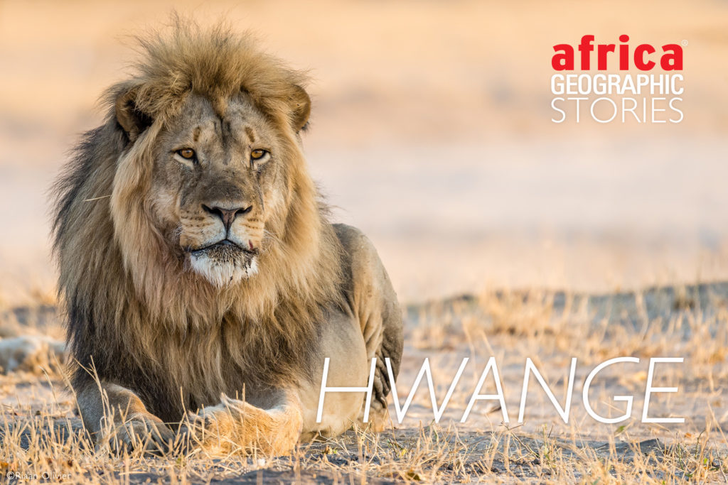 HWANGE - Africa Geographic