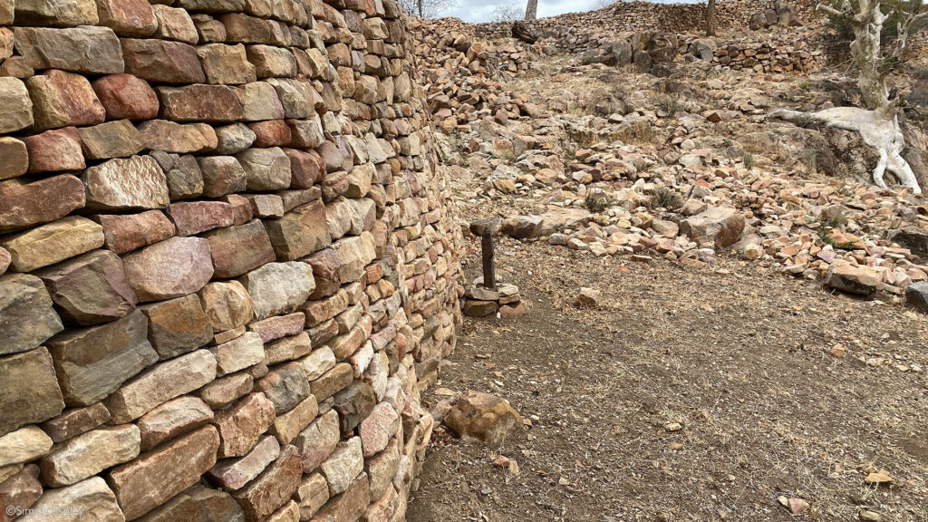 THULAMELA - Africa Geographic