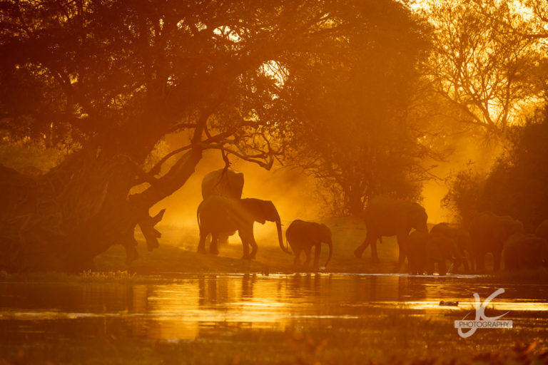 Jens Cullmann, 2020 Photographer of the Year – gallery two - Africa ...