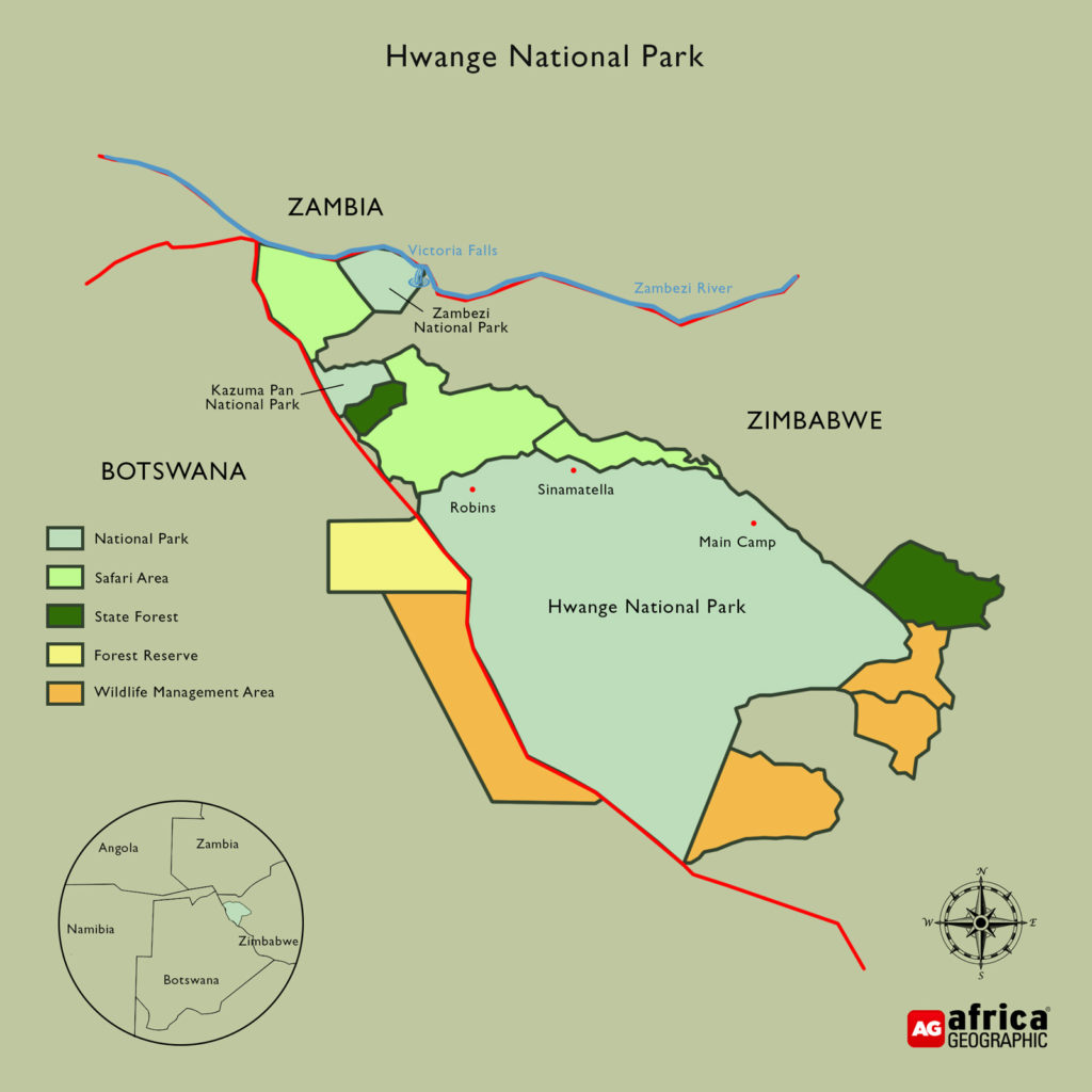 Come on a Hwange safaris with us