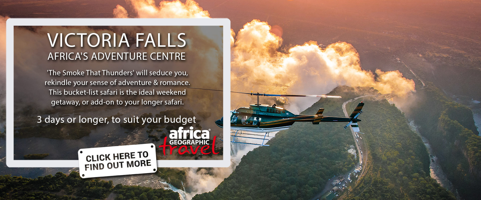 FOSSA: 5 fascinating facts - Africa Geographic