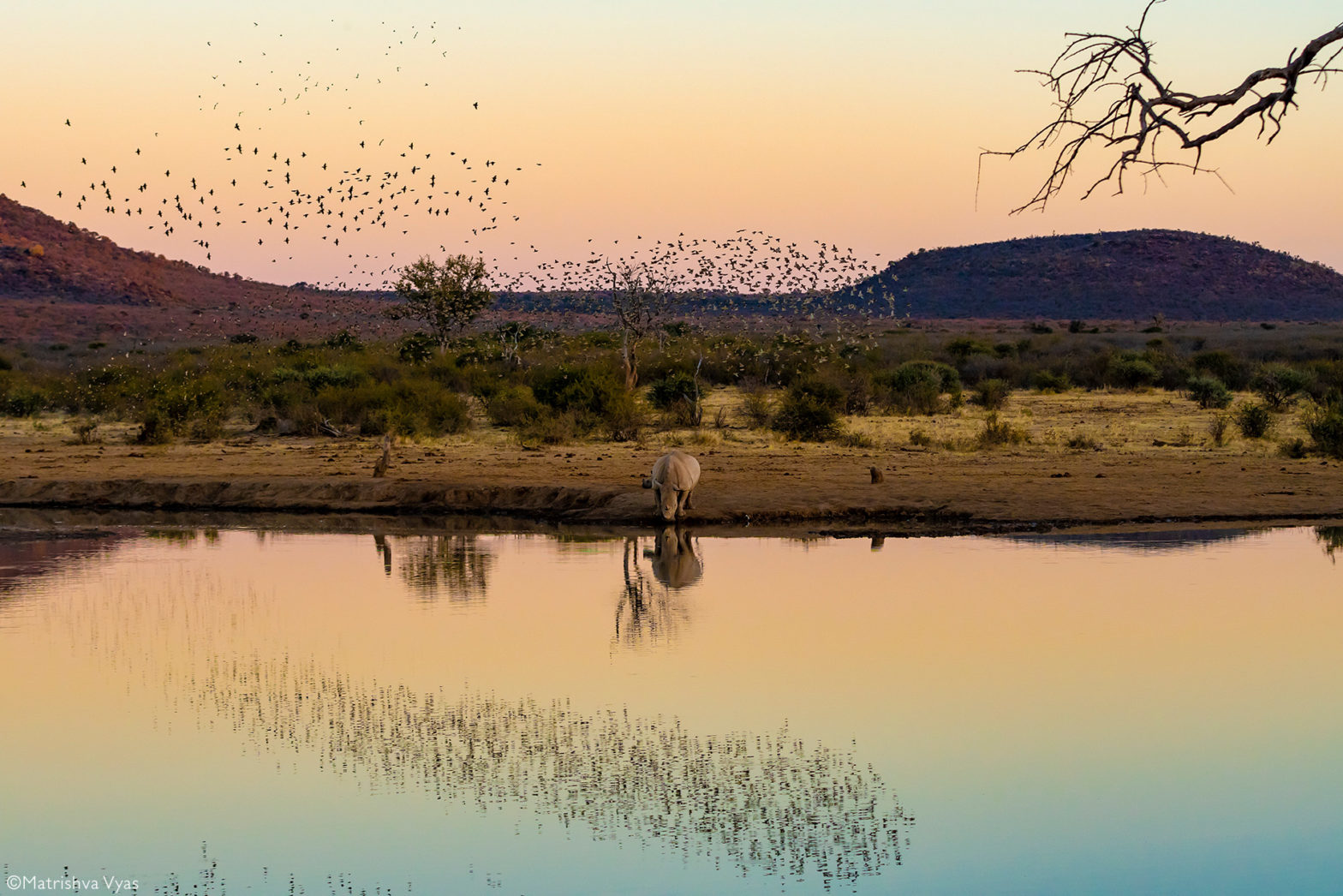 Madikwe Game Reserve - Africa Geographic