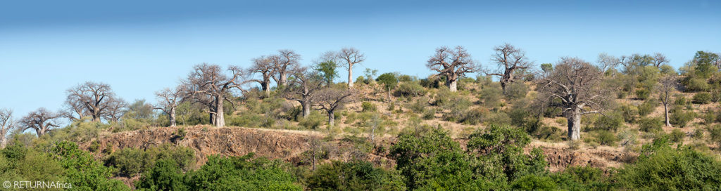 MAKULEKE - Africa Geographic