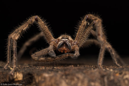 Photographer of the Year 2021 Weekly Selection: Week 2 - Africa Geographic