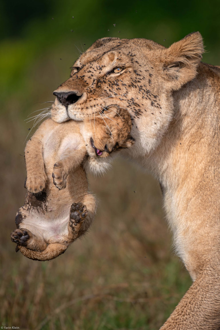 Photographer of the Year 2021 Weekly Selection: Week 3 - Africa Geographic