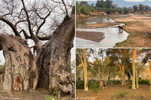 MAKULEKE - Africa Geographic