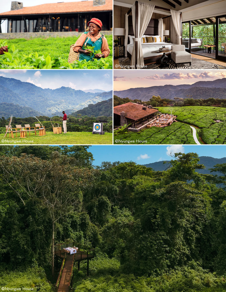 Nyungwe National Park - Africa Geographic