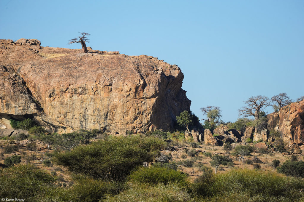 Tuli - Africa Geographic