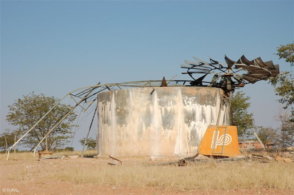 The story behind the Namibian elephant auction - Africa Geographic