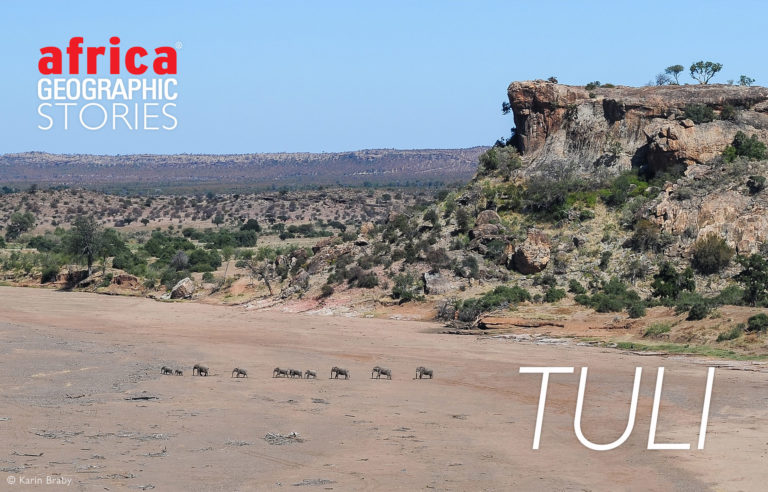 Tuli - Africa Geographic