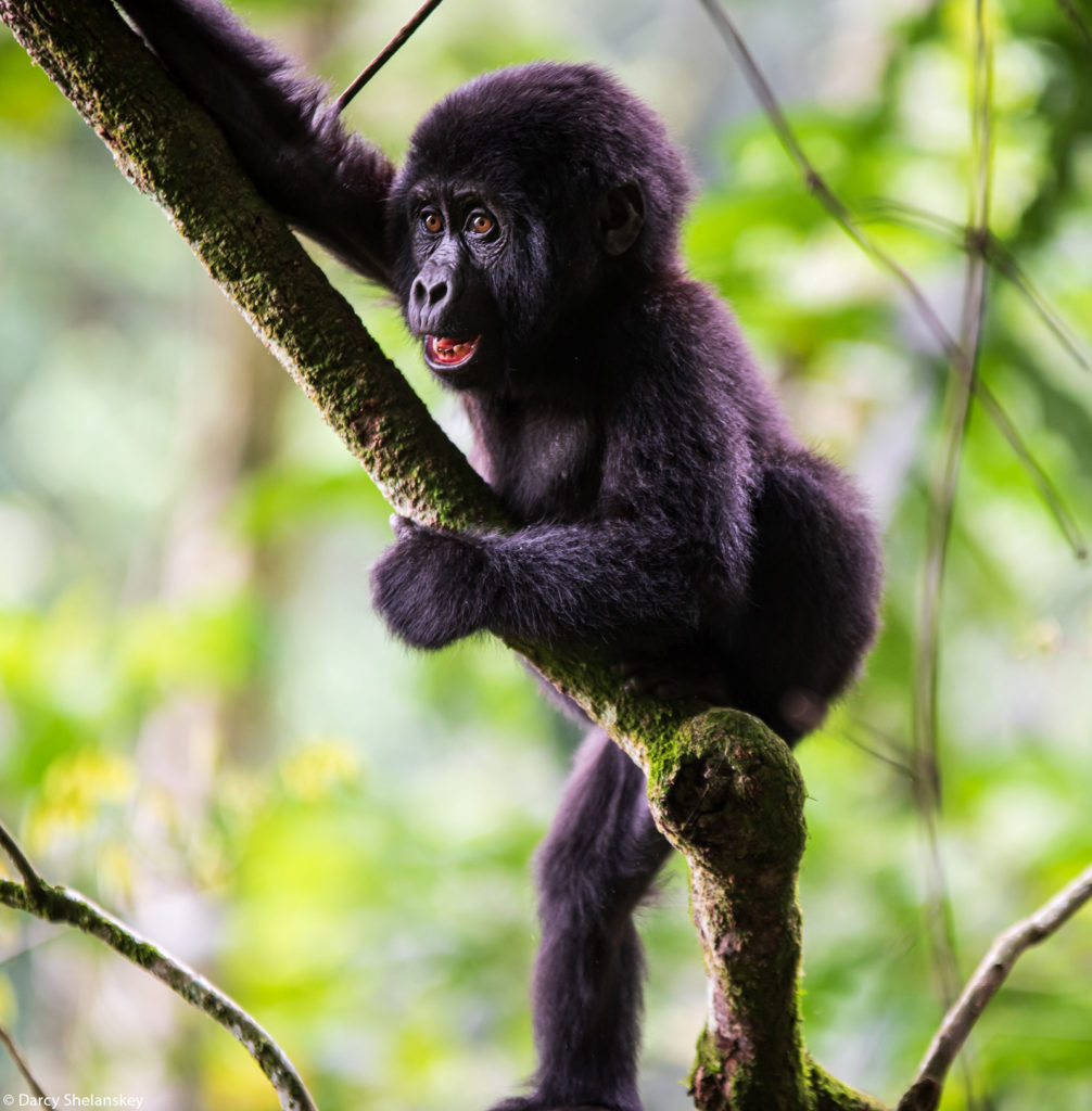 Photographer of the Year 2021 Weekly Selection: Week 5 - Africa Geographic