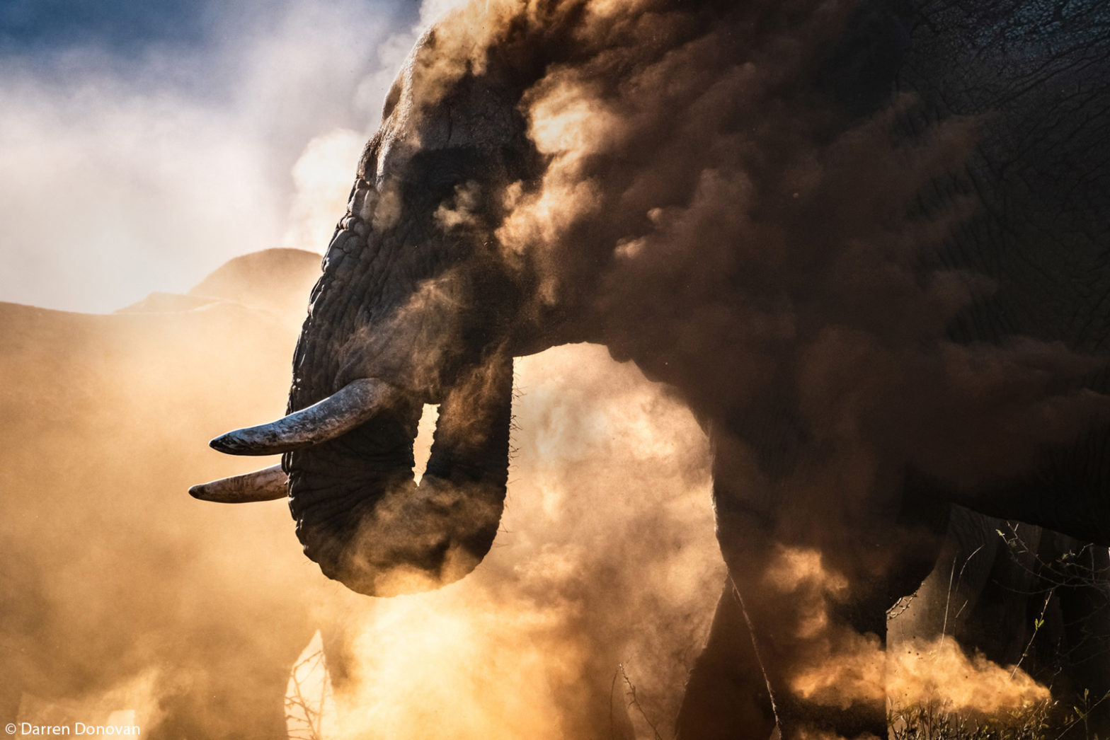 Photographer of the Year 2021 Weekly Selection: Week 4 - Africa Geographic