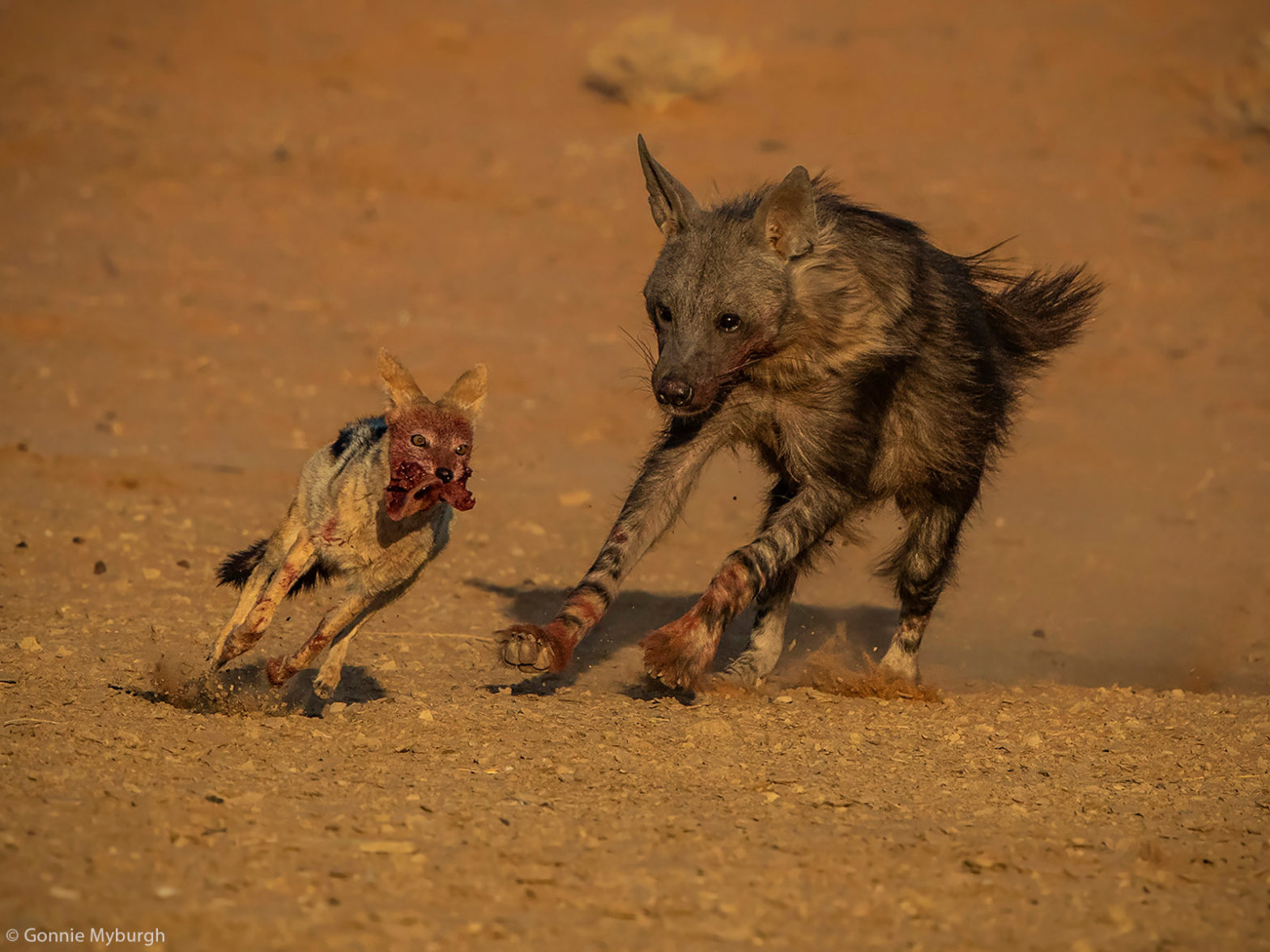 Photographer of the Year 2021 Weekly Selection: Week 6 - Africa Geographic