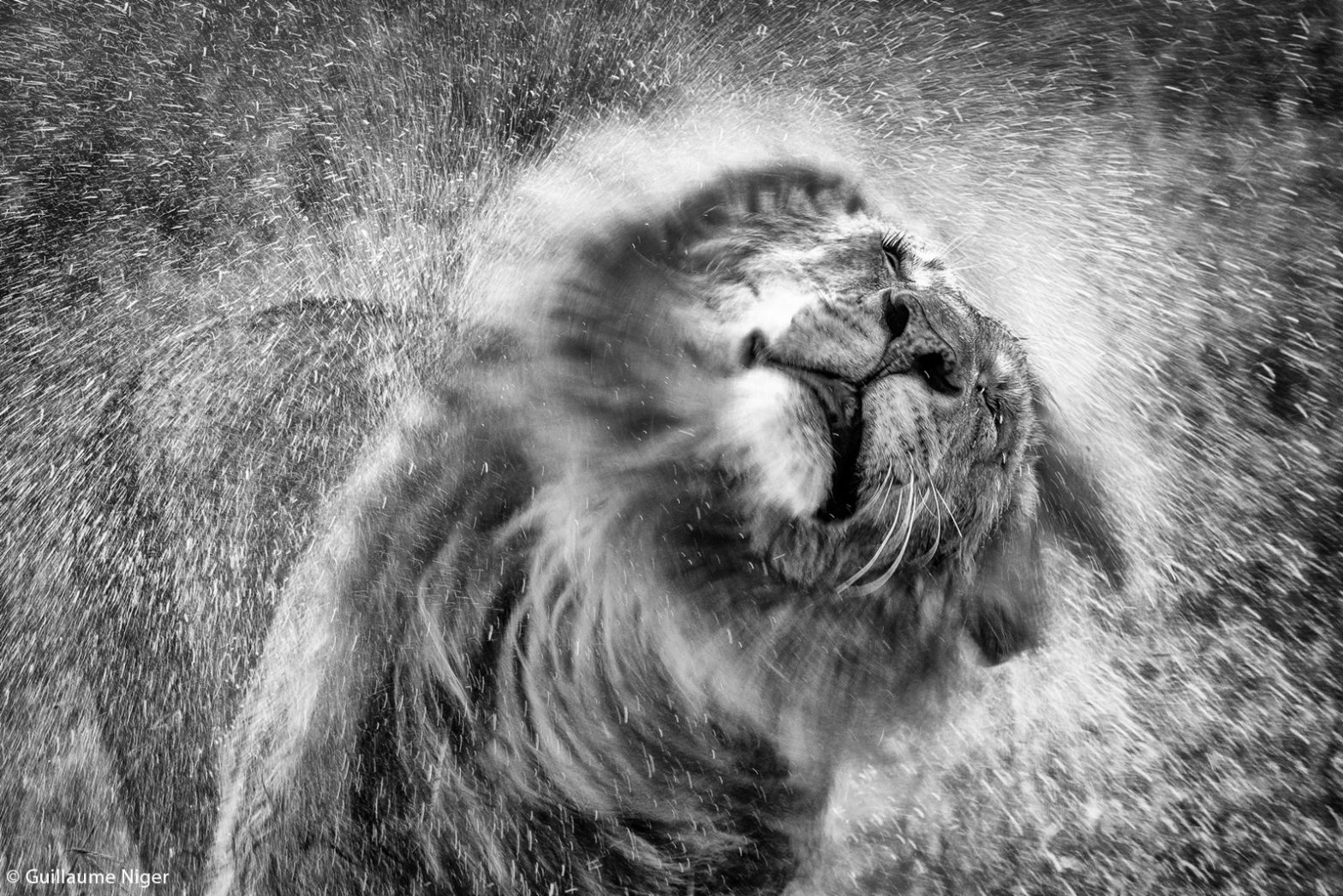 Photographer of the Year 2021 Weekly Selection: Week 6 - Africa Geographic