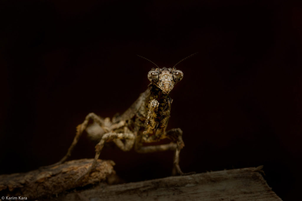 Photographer of the Year 2021 Weekly Selection: Week 6 - Africa Geographic