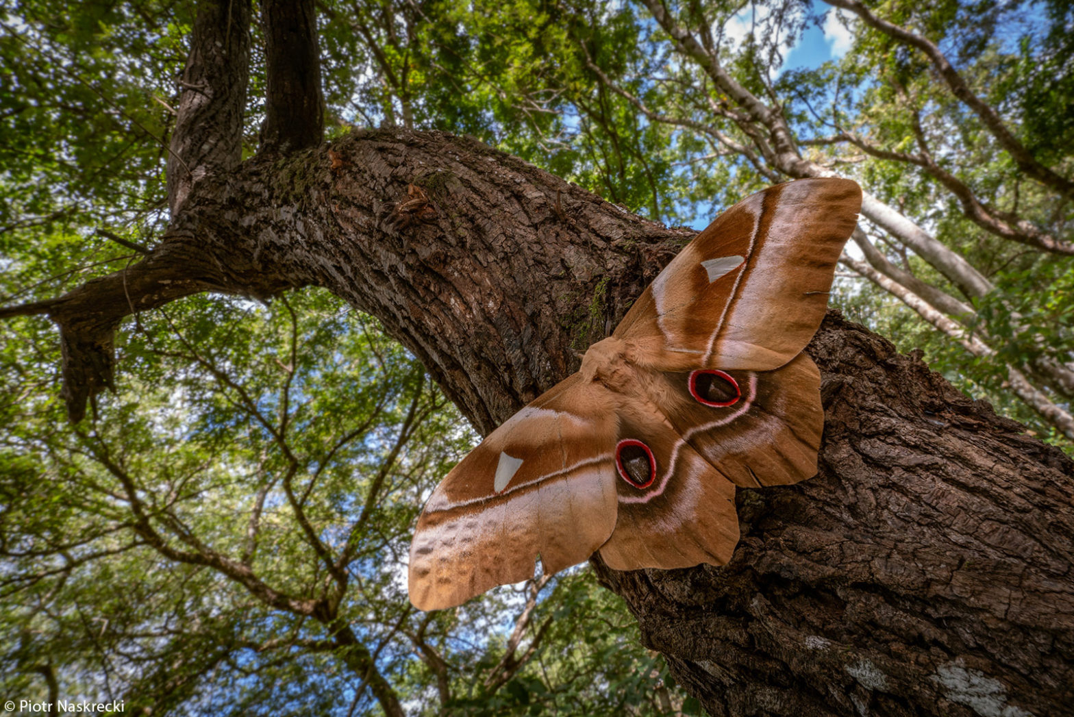 Photographer of the Year 2021 Weekly Selection: Week 6 - Africa Geographic