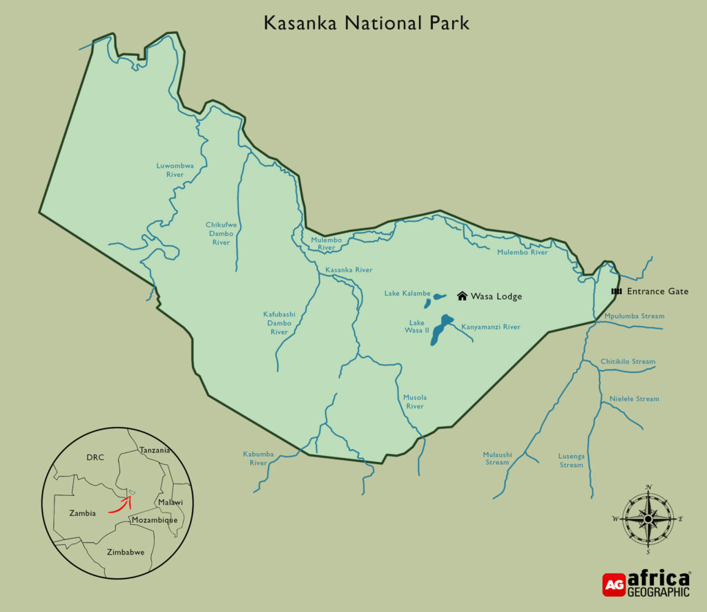 Under immediate threat: Zambia's Kasanka NP and world's largest mammal ...