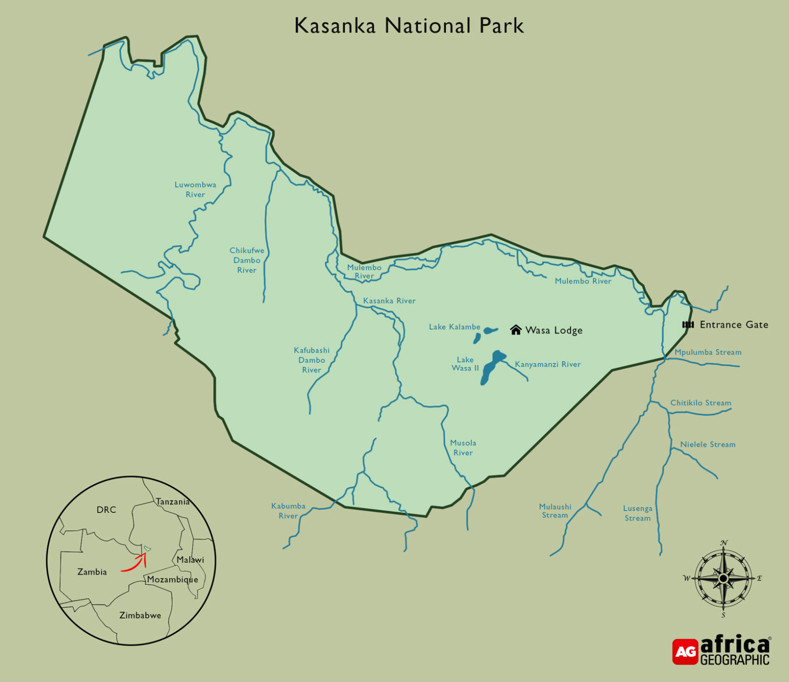 Kasanka Bat Migration - an astonishing natural wonder - Africa Geographic